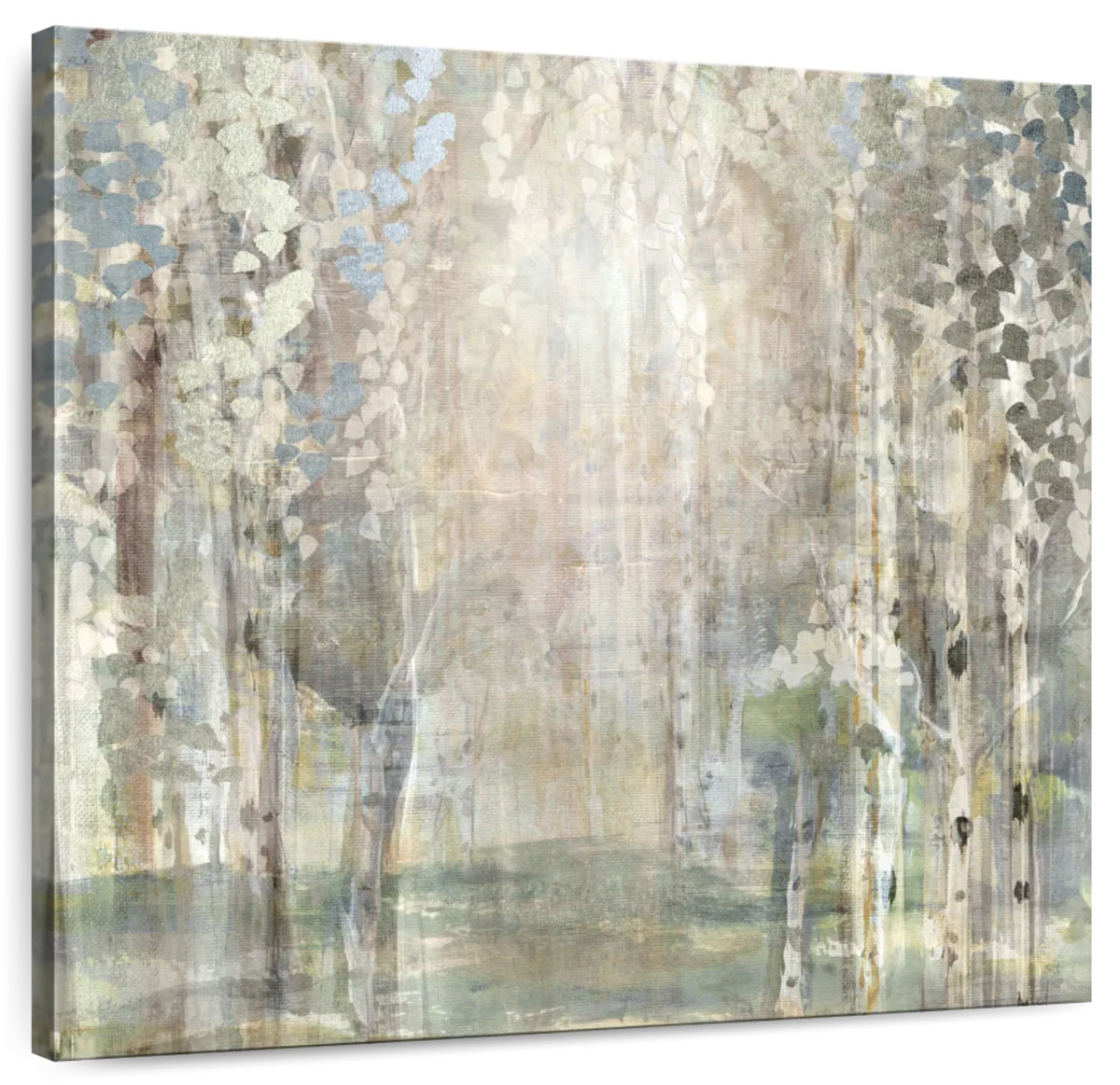 Wade Logan Birch Wood Clearing - Wayfair Canada