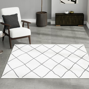 Hokku Designs Kanoi Area Rug & Reviews | Wayfair