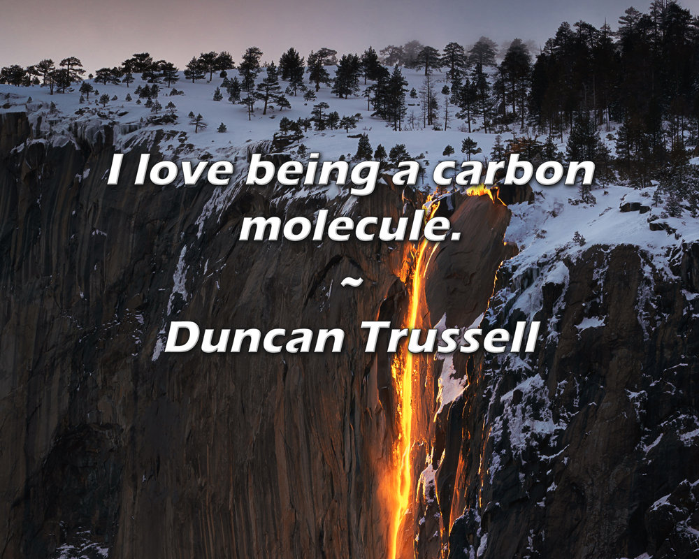 Trinx Duncan Trussell Quote: I love being a carbon molecule. | Wayfair