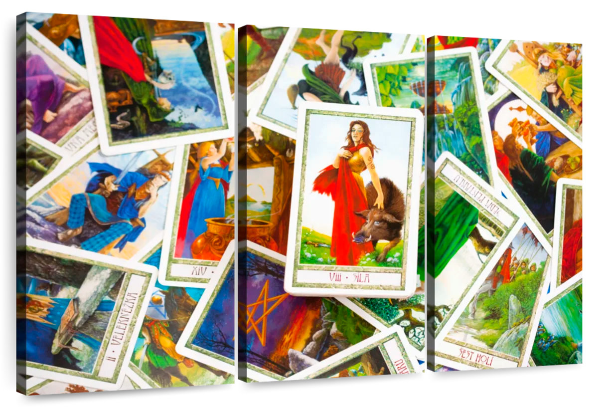 Elephant Stock Reading Tarot Cards - Wayfair Canada