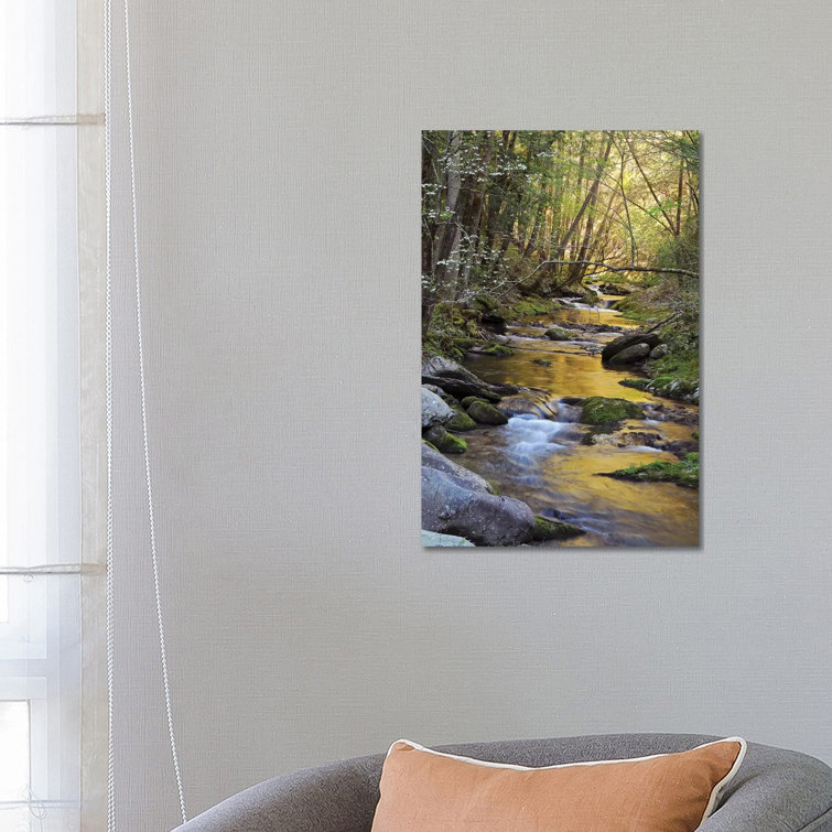 Union Rustic Springtime Creek by Brian Wolf - Wrapped Canvas Print ...