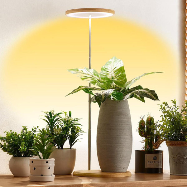 Kiflic Plant Grow Light for Indoor Plant,Mini LED Grow Light Garden ...