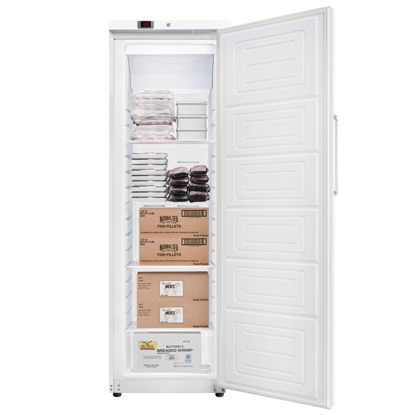 KoolMore 23 in. Commercial Auto-Defrost Reach-In Freezer ,12 cu. ft. in ...