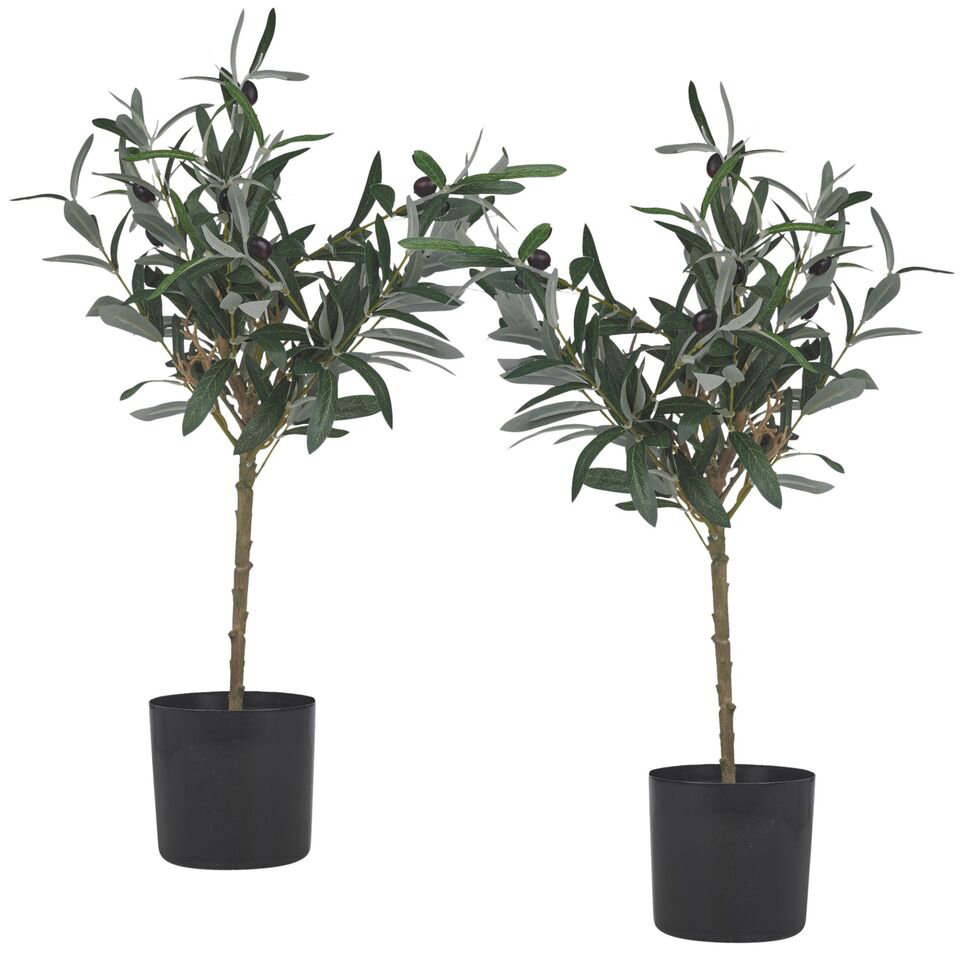 The Seasonal Aisle Anarely Pot Planter | Wayfair.co.uk