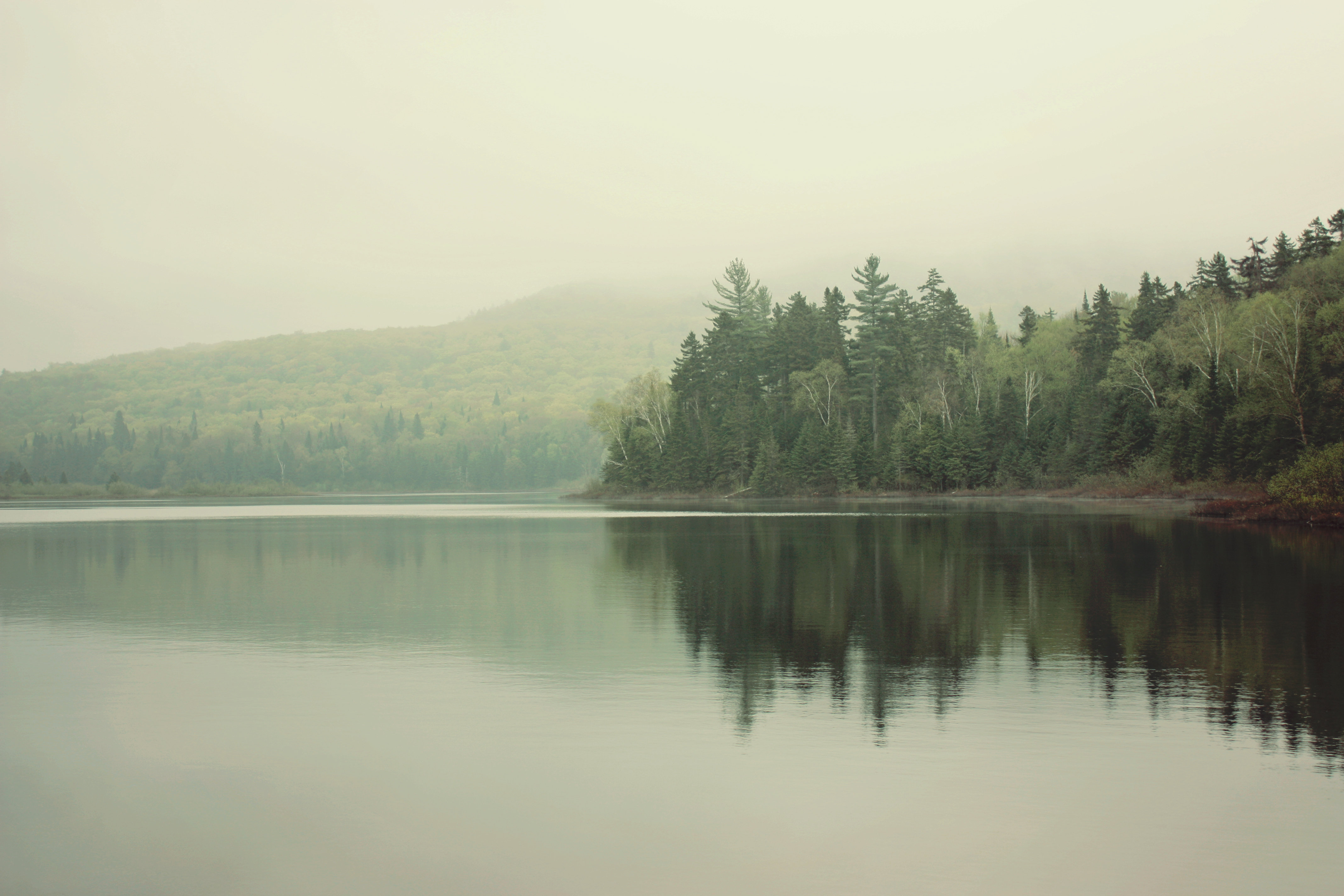 Millwood Pines Morning on the Lake by Sebastien Lemyre - Wrapped Canvas ...
