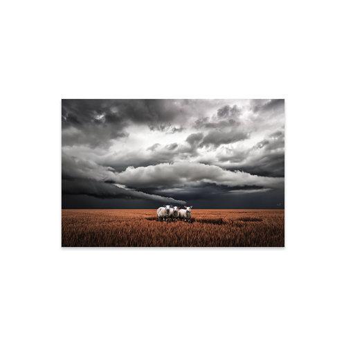 Latitude Run® Absentminded Sheep (Landscape) by Kathrin Federer ...