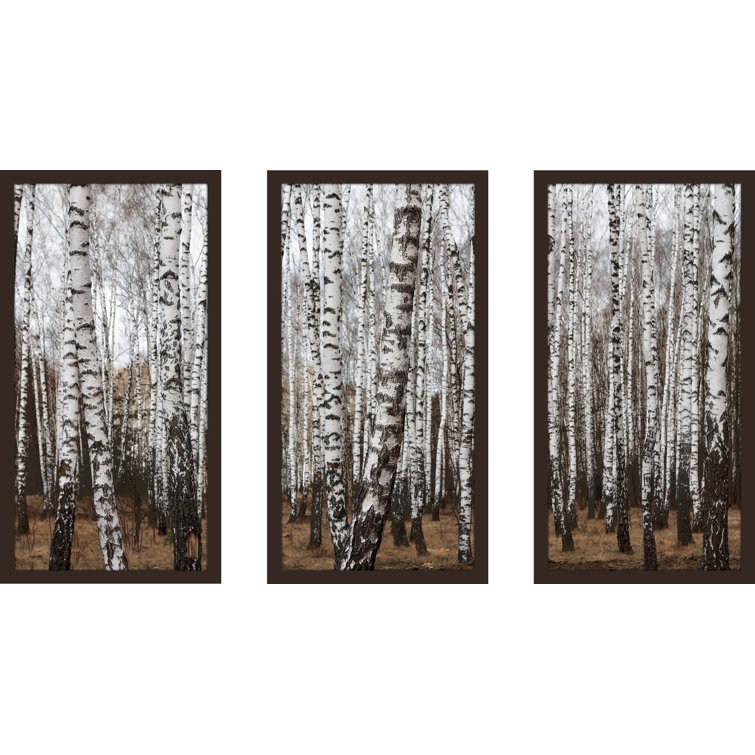 PicturePerfectInternational Birching Around 7 - 3 Piece Picture Frame ...