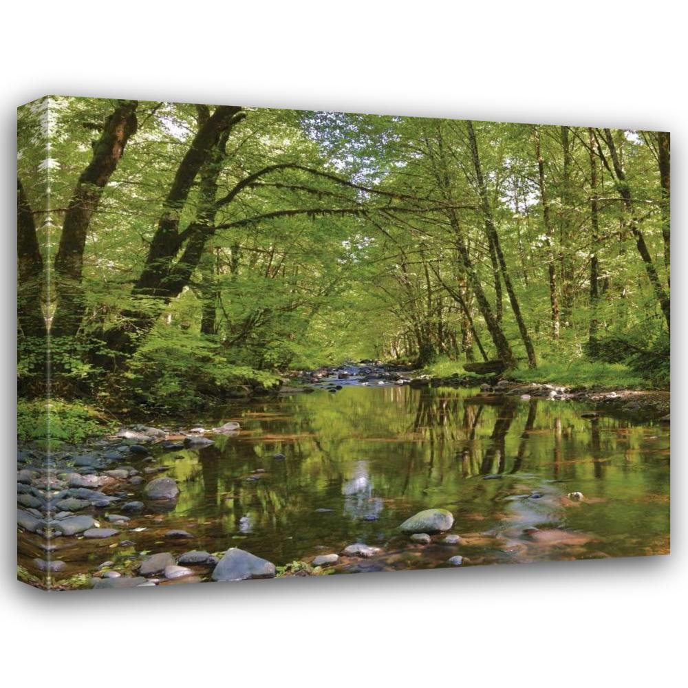 Millwood Pines "Terrill", Steve Gallery, art sur toile: Oregon, forêt ...