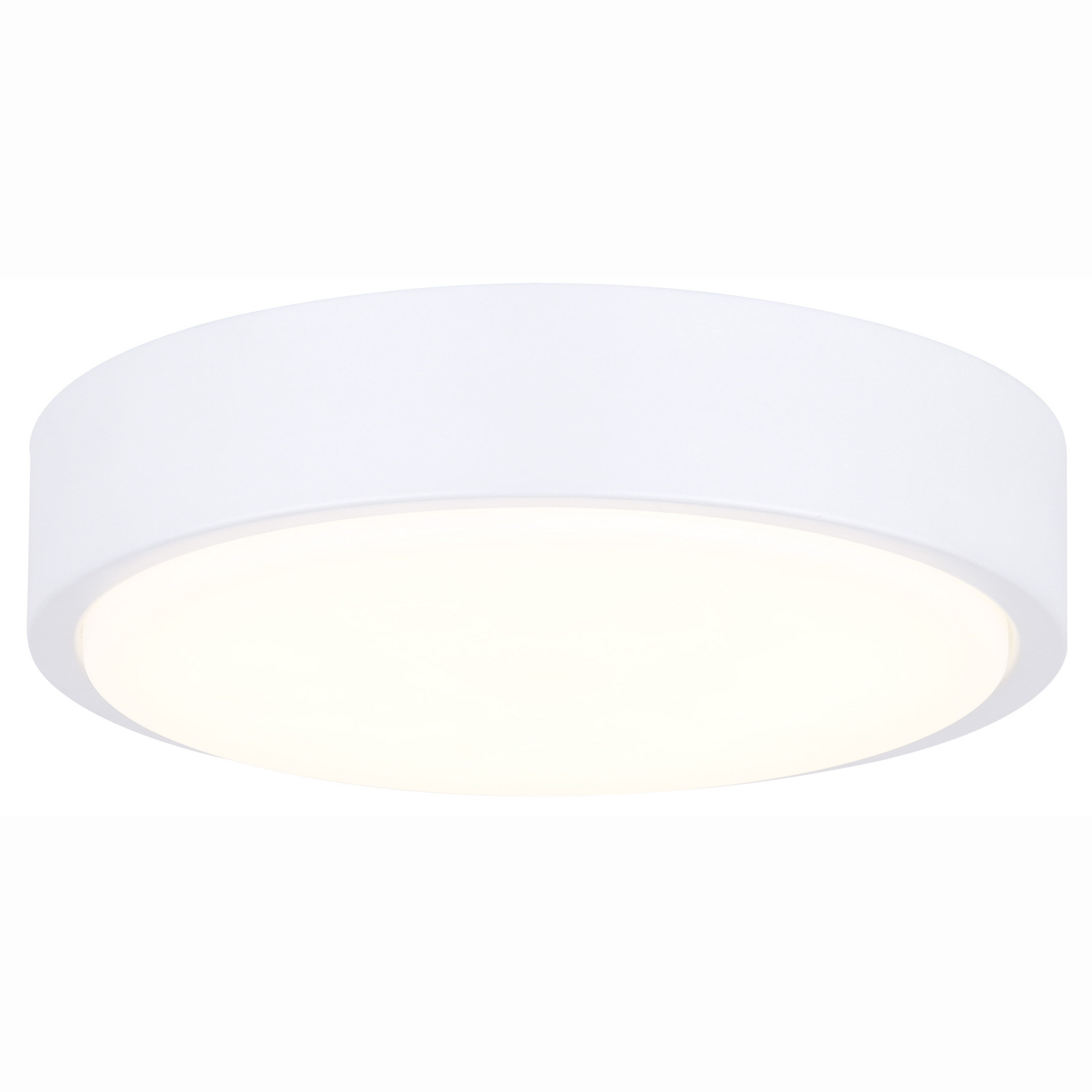 Orren Ellis 1-Light Ceiling Fan Bow Light Kit | Wayfair