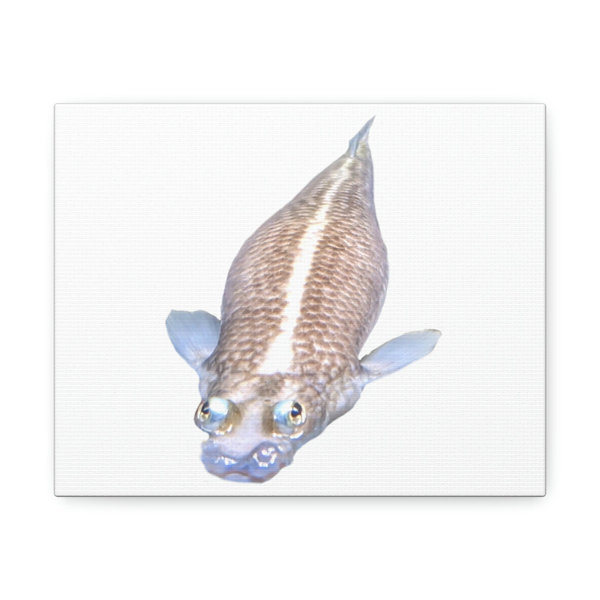 Bay Isle Home™ Koi Fish Stretched - Unframed Graphic Art on Canvas ...