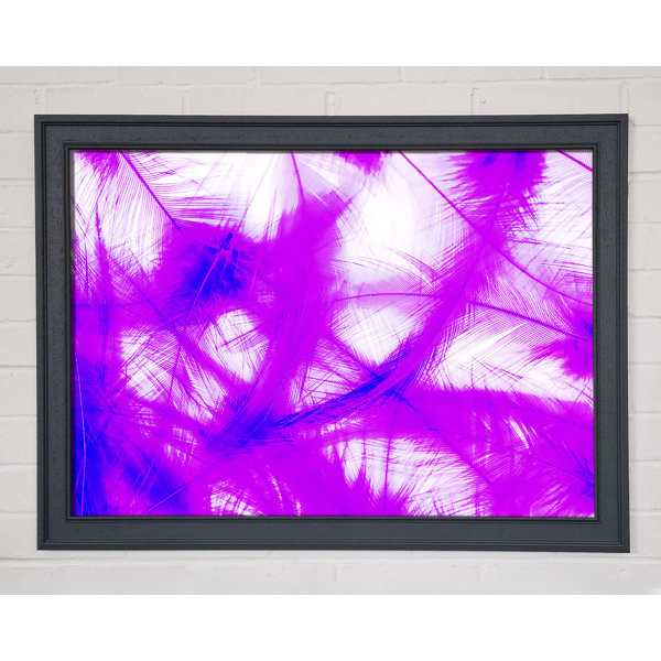 Ivy Bronx Feathers Pink Framed Print | Wayfair.co.uk
