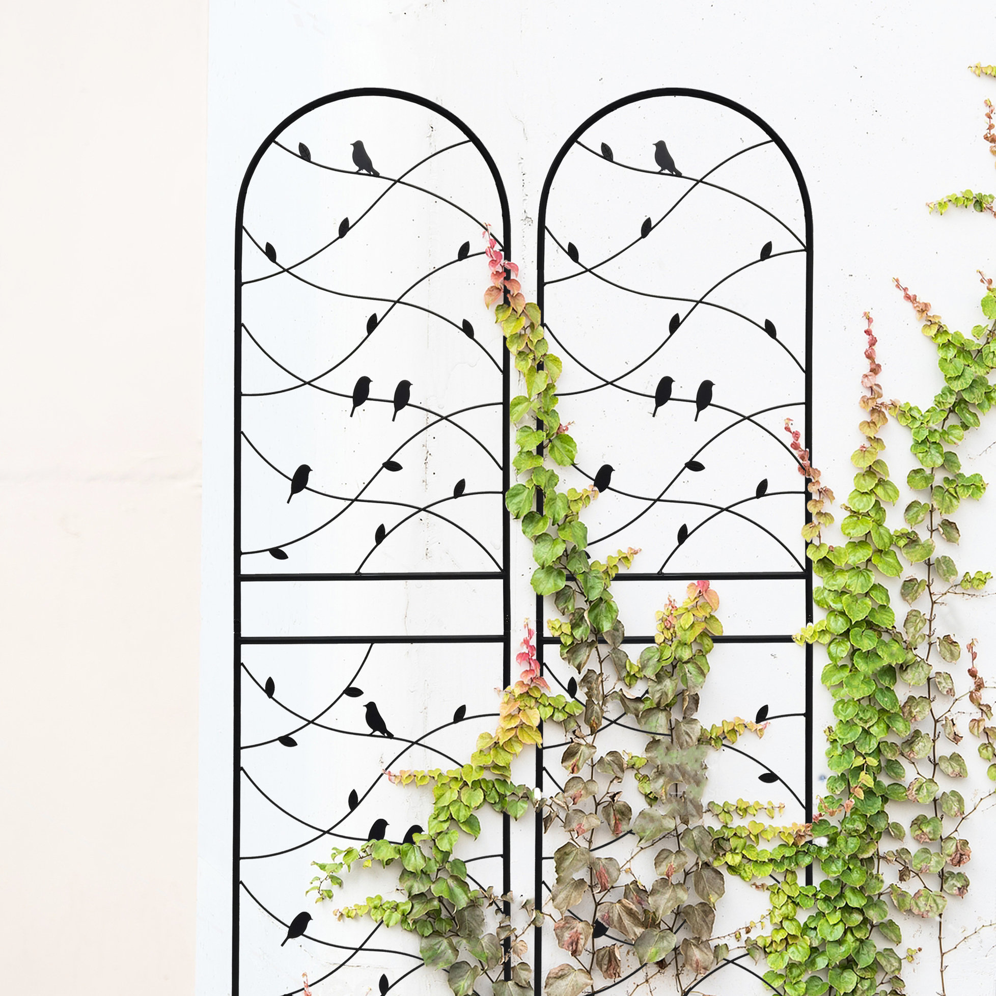 Red Barrel Studio Rustproof Metal Garden Trellis, For Rose , Outdoor ...