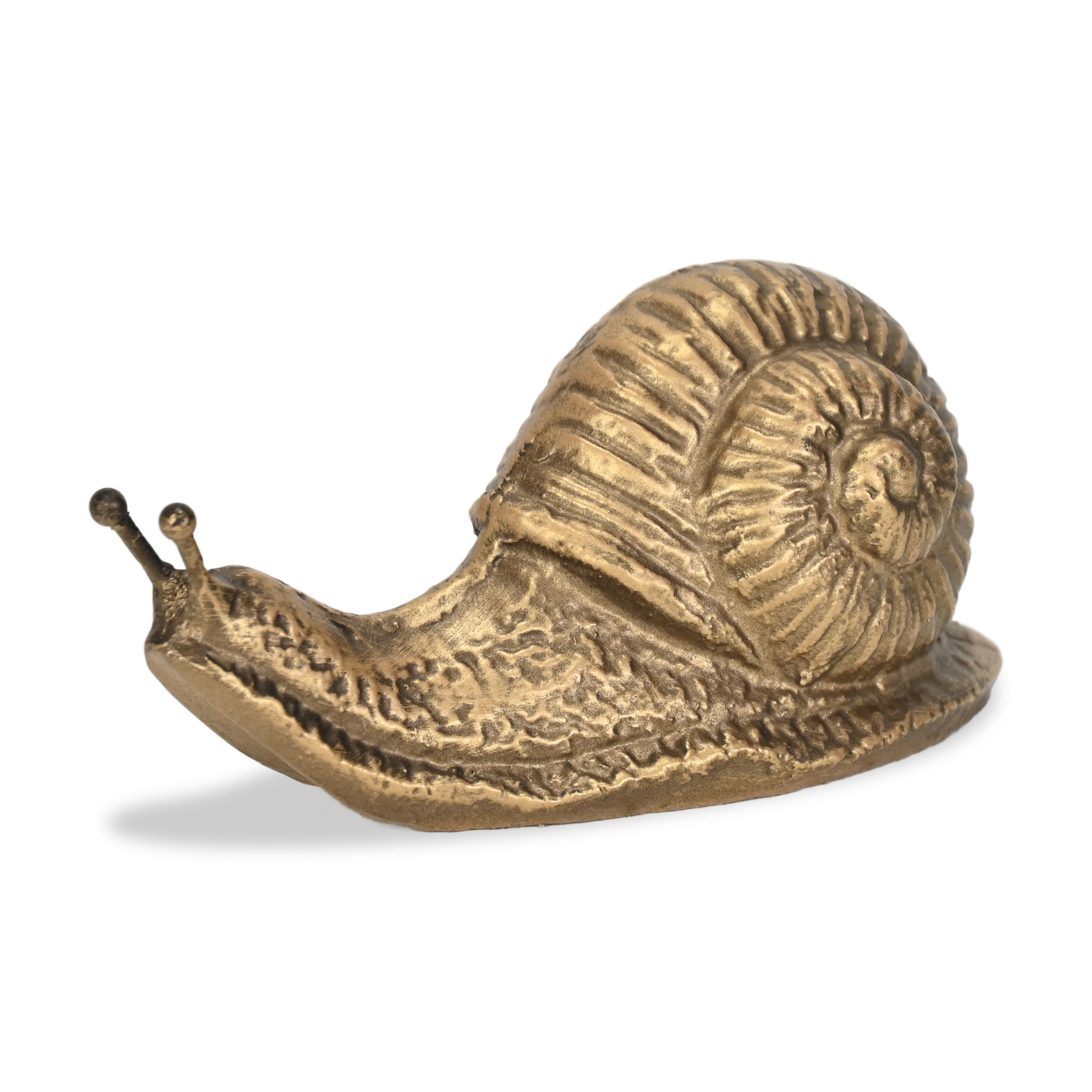 House of Hampton® Verdor Golden Snail Cast Iron Decor | Wayfair