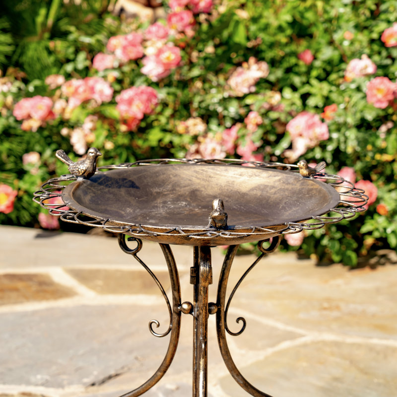 Winston Porter 28.75" Tall Ornate Round Iron Birbath with 3 Small Birds ...