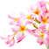 Marlow Home Co. Pink Plumeria by Panuruangjan - Wrapped Canvas Art ...