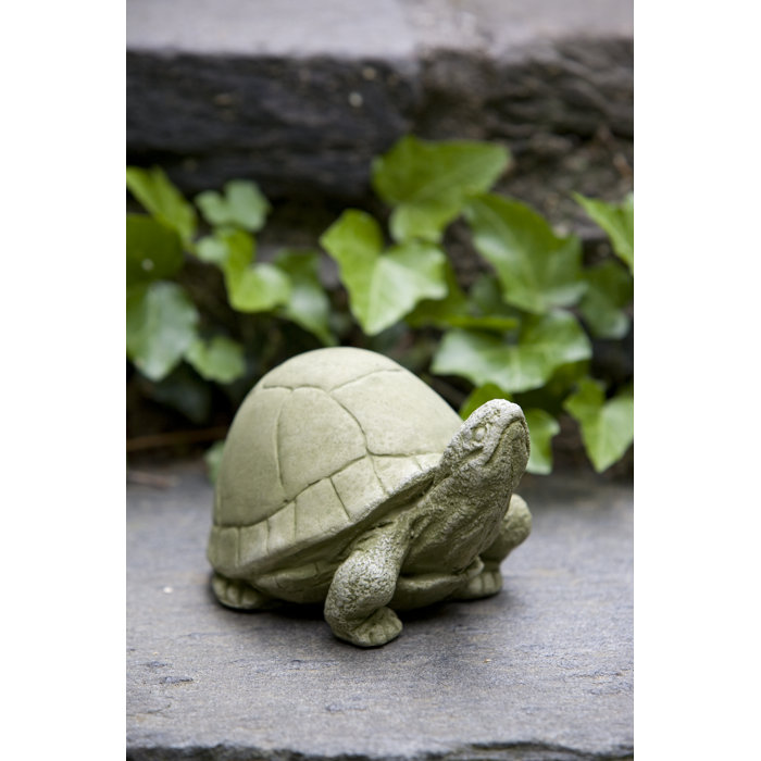 Campania International, Inc Box Turtle Statue & Reviews | Wayfair