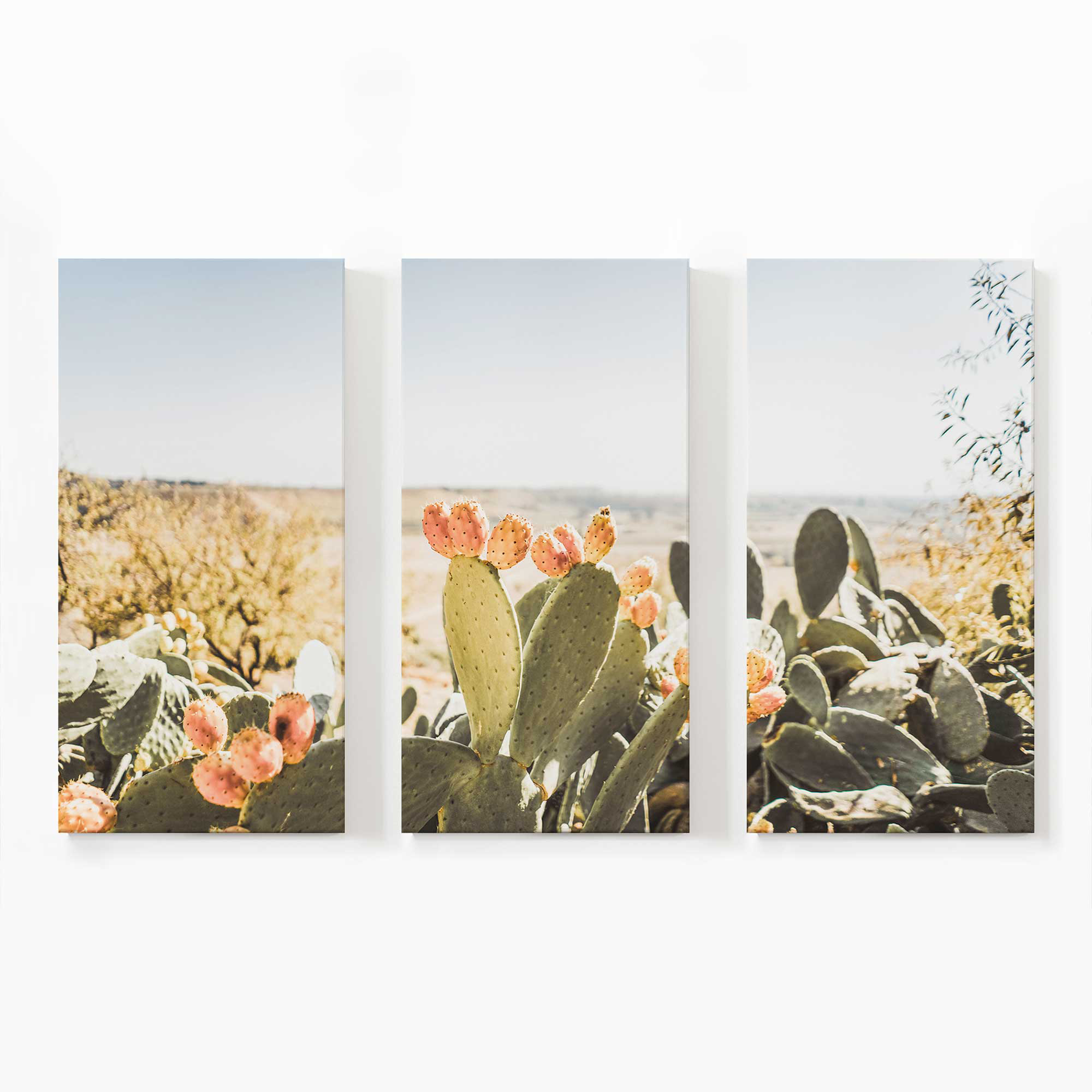 Frametolia Nature's Jewels | 3 Panel Split Large Canvas Print | Wayfair