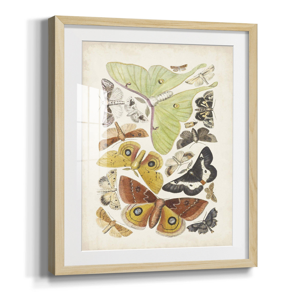 August Grove® Lumen Colour II Framed On Paper Print | Wayfair