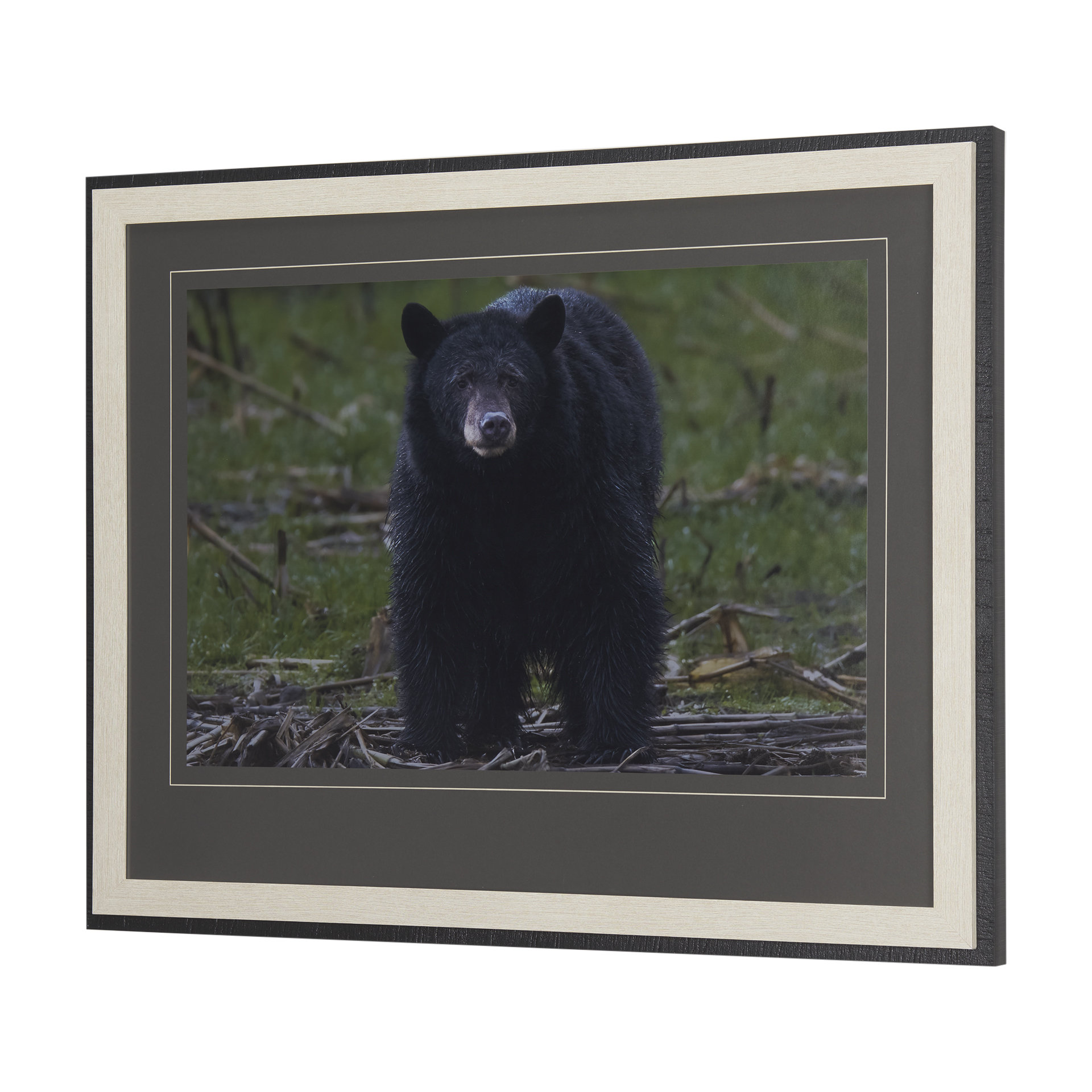 Loon Peak® Standing Bear by Chad Mackay a Hand Embelished Textured ...