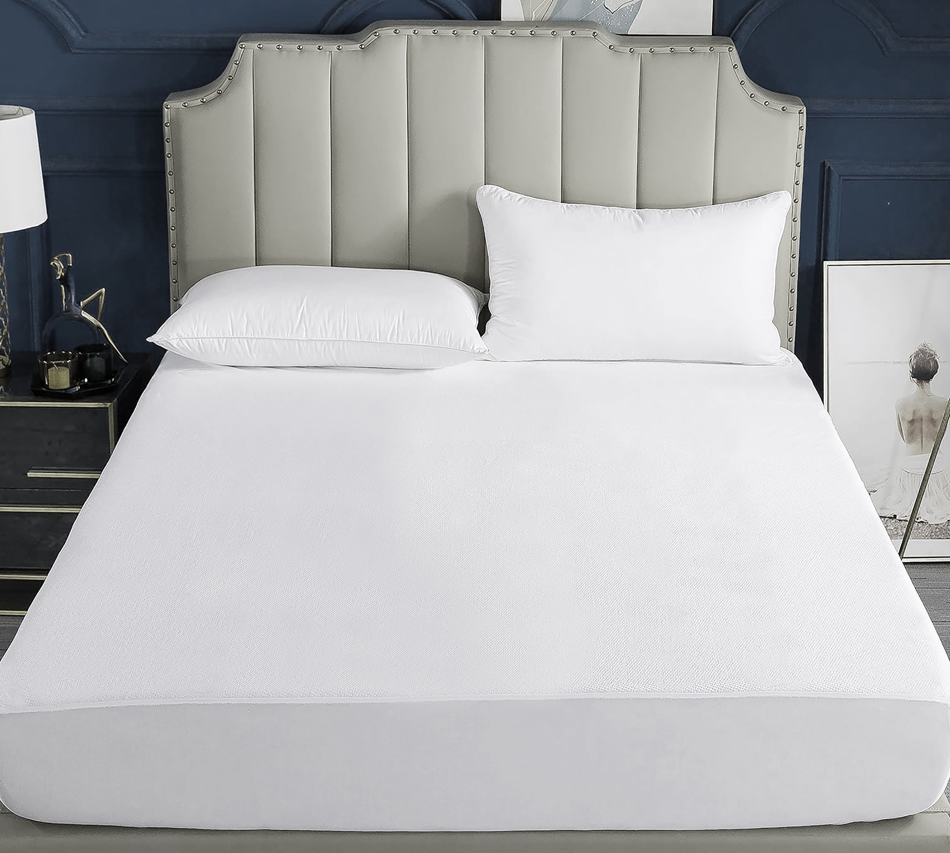 Alwyn Home Milagro Waterproof Elastic Mattress Protector Case Pack ...