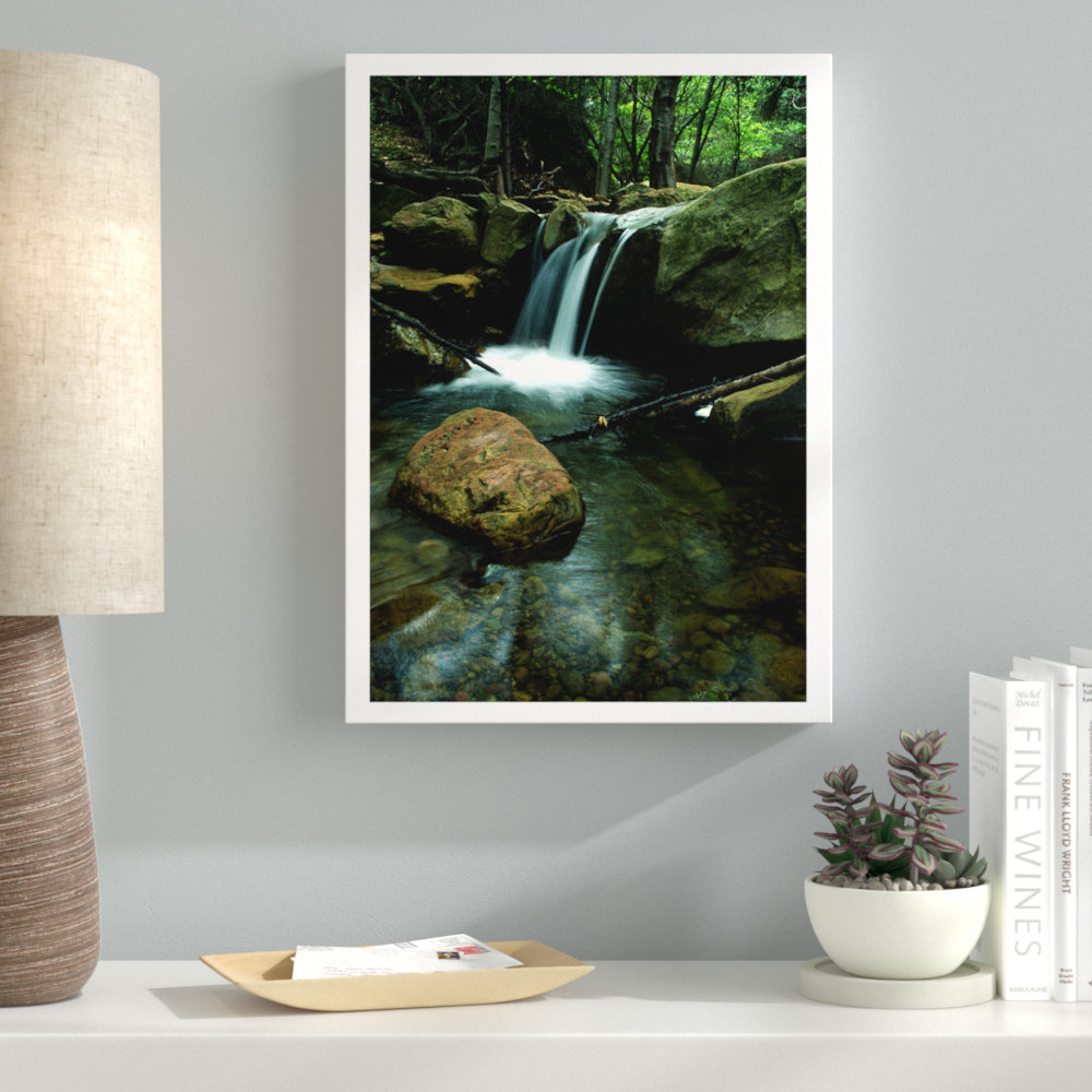 Ebern Designs Waterfall in the Woods by Kathy Yates - Photograph Print ...