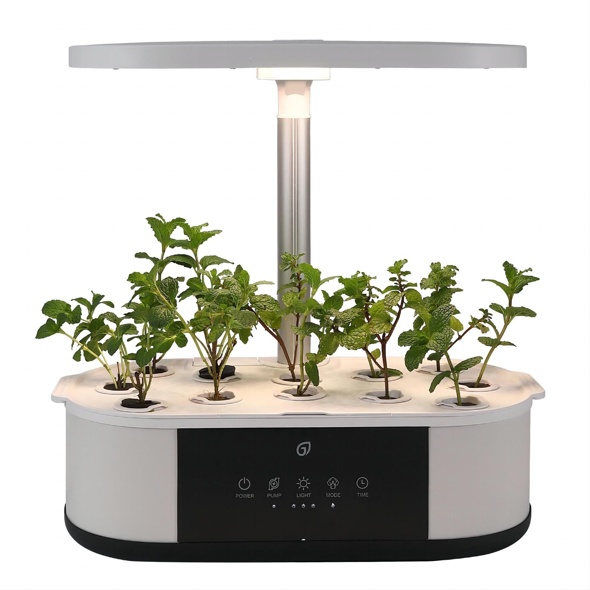 babevy 12 Pods Hydroponic Growing System - Wayfair Canada