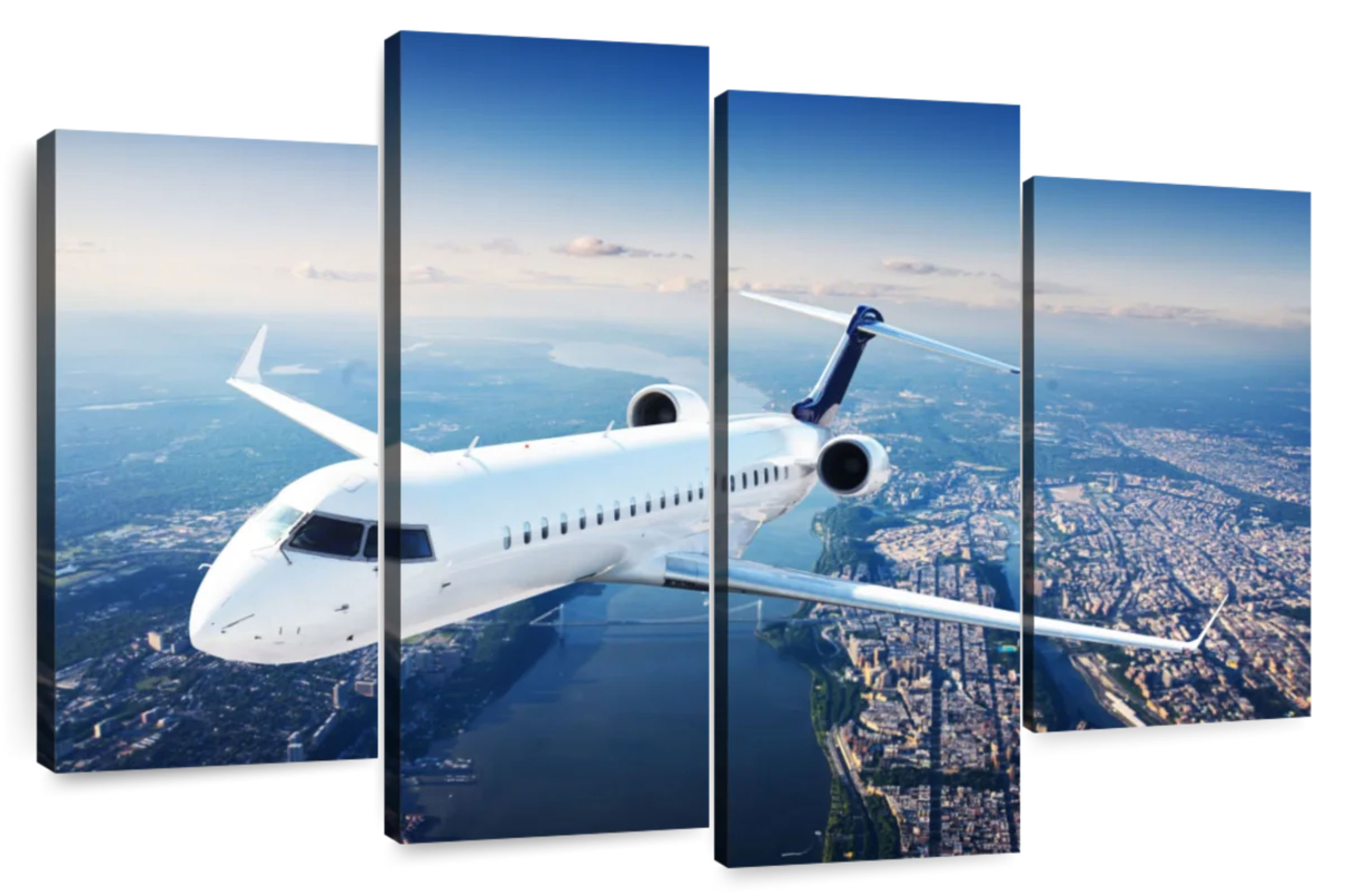 Elephant Stock Flying Private Jet | Wayfair