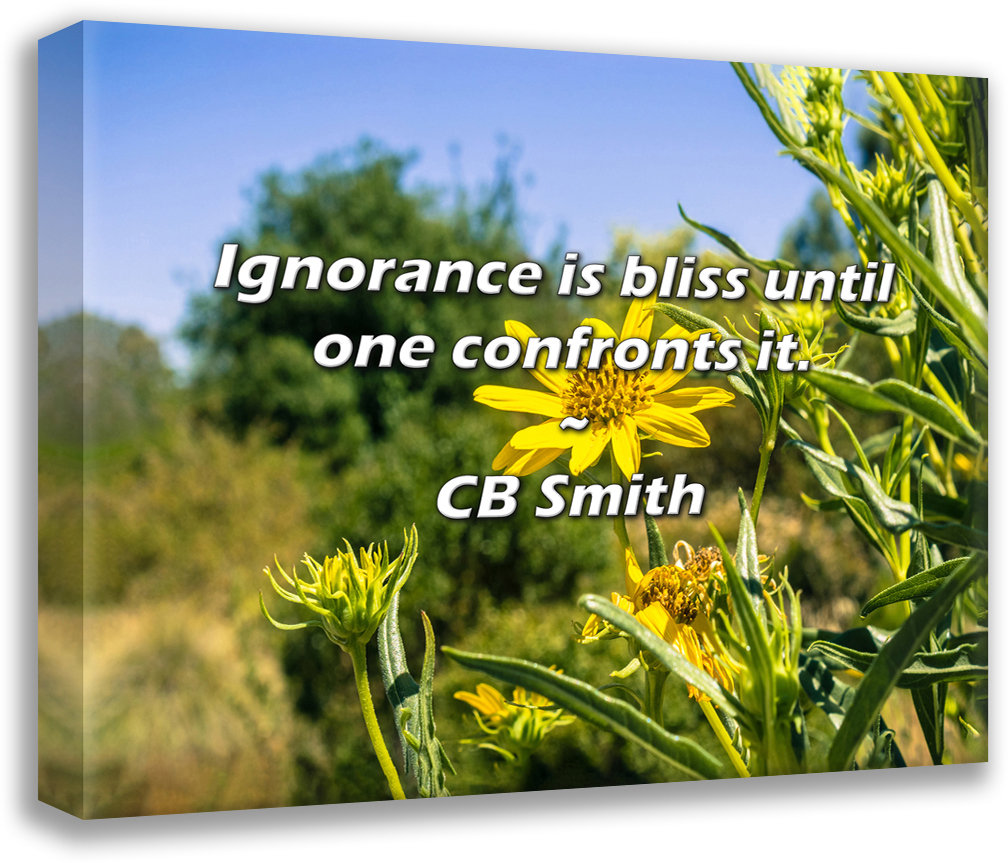 Trinx CB Smith Quote: Ignorance is bliss until one confronts it. | Wayfair