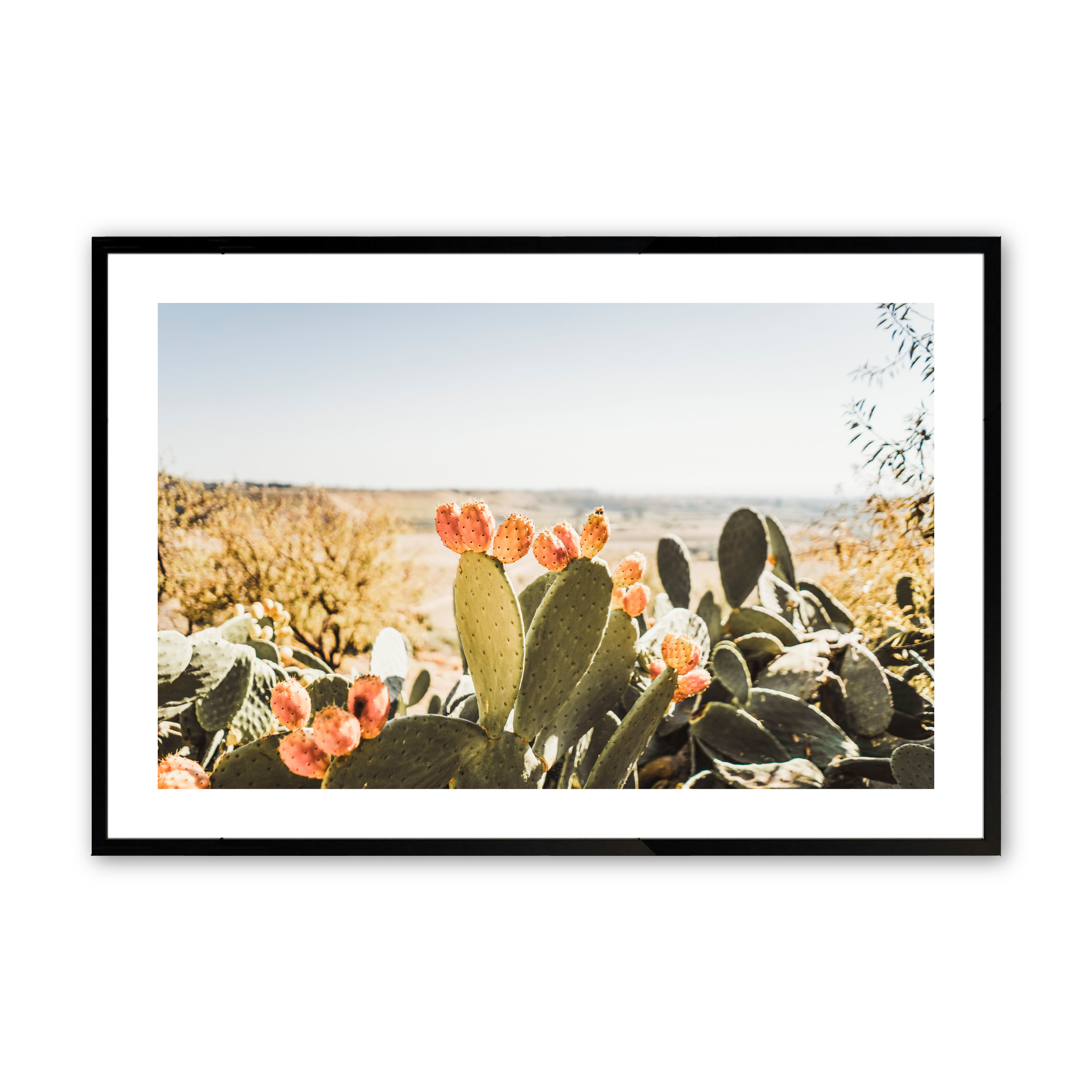 Dakota Fields Demariya Nature's Jewels Framed On Paper by Krista ...