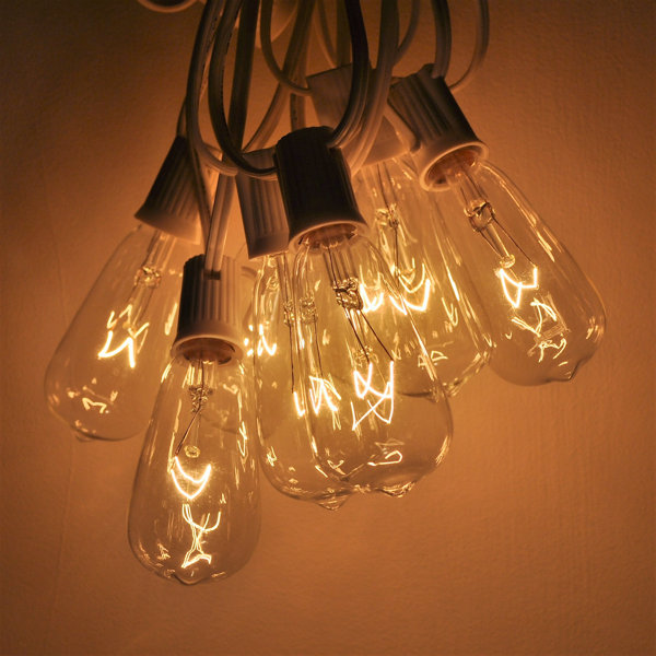 Hometown Evolution, Inc. Edison String Lights Outdoor 50 - Bulb ...