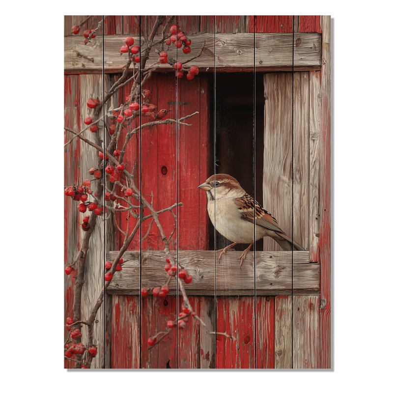 barn door bird