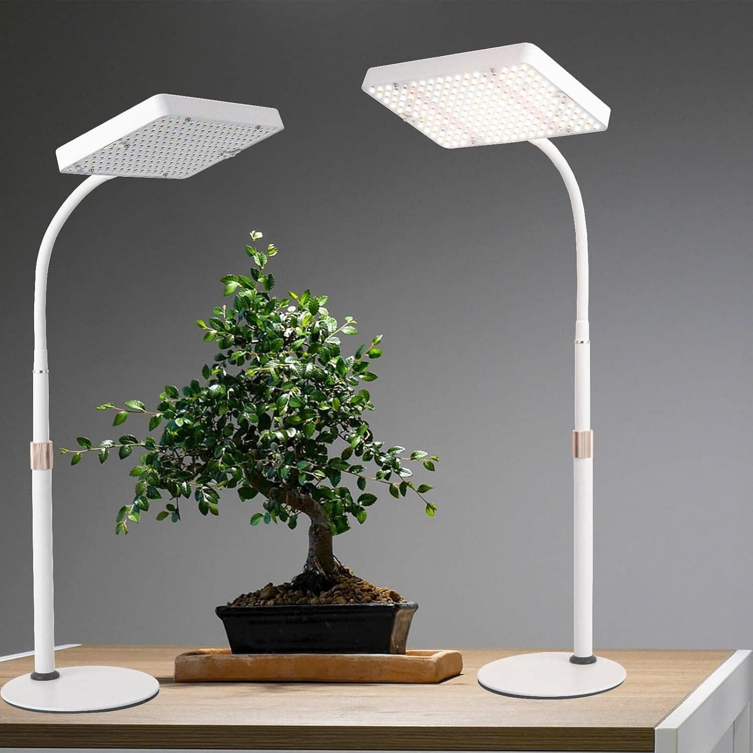 MASMIO 2Pack Desk Grow Light LED | Wayfair