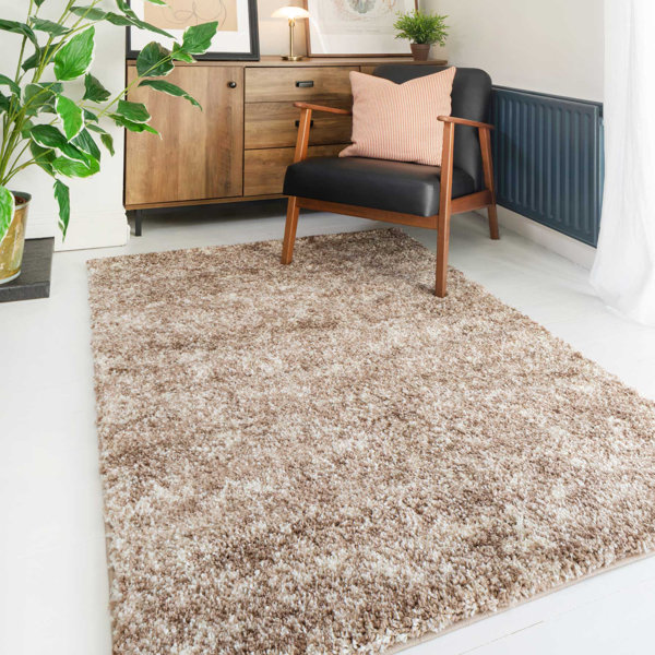 Brayden Studio Dinton Shag Area Rug & Reviews | Wayfair.co.uk