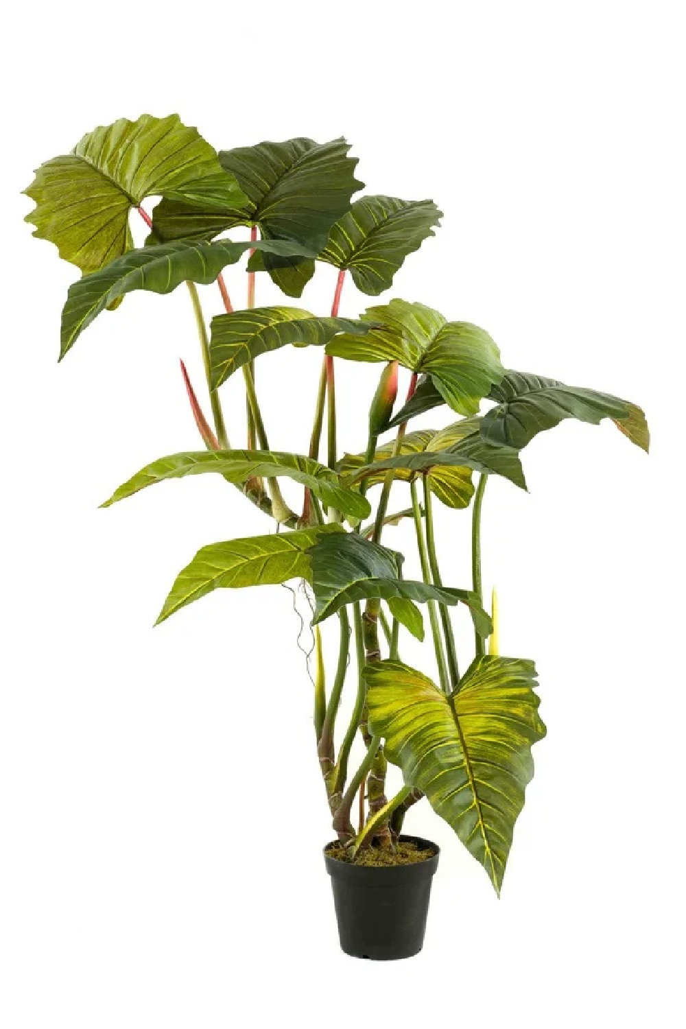 Primrue 69" Artificial Elephant Ear Tree in Pot Liner | Wayfair