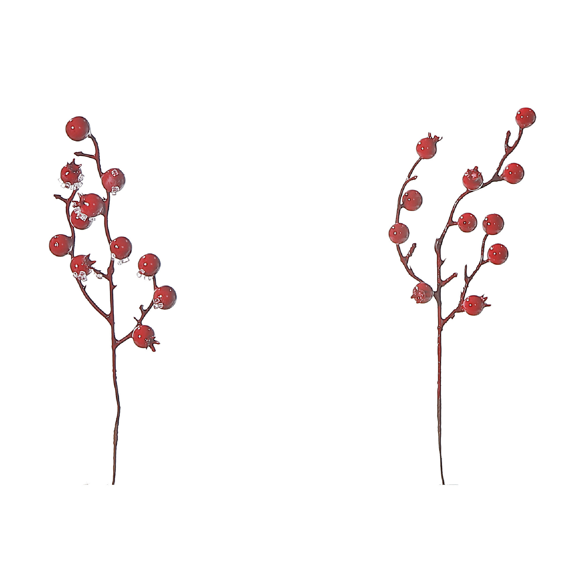 iH casadécor Red Berry Pick - Set Of 12 | Wayfair