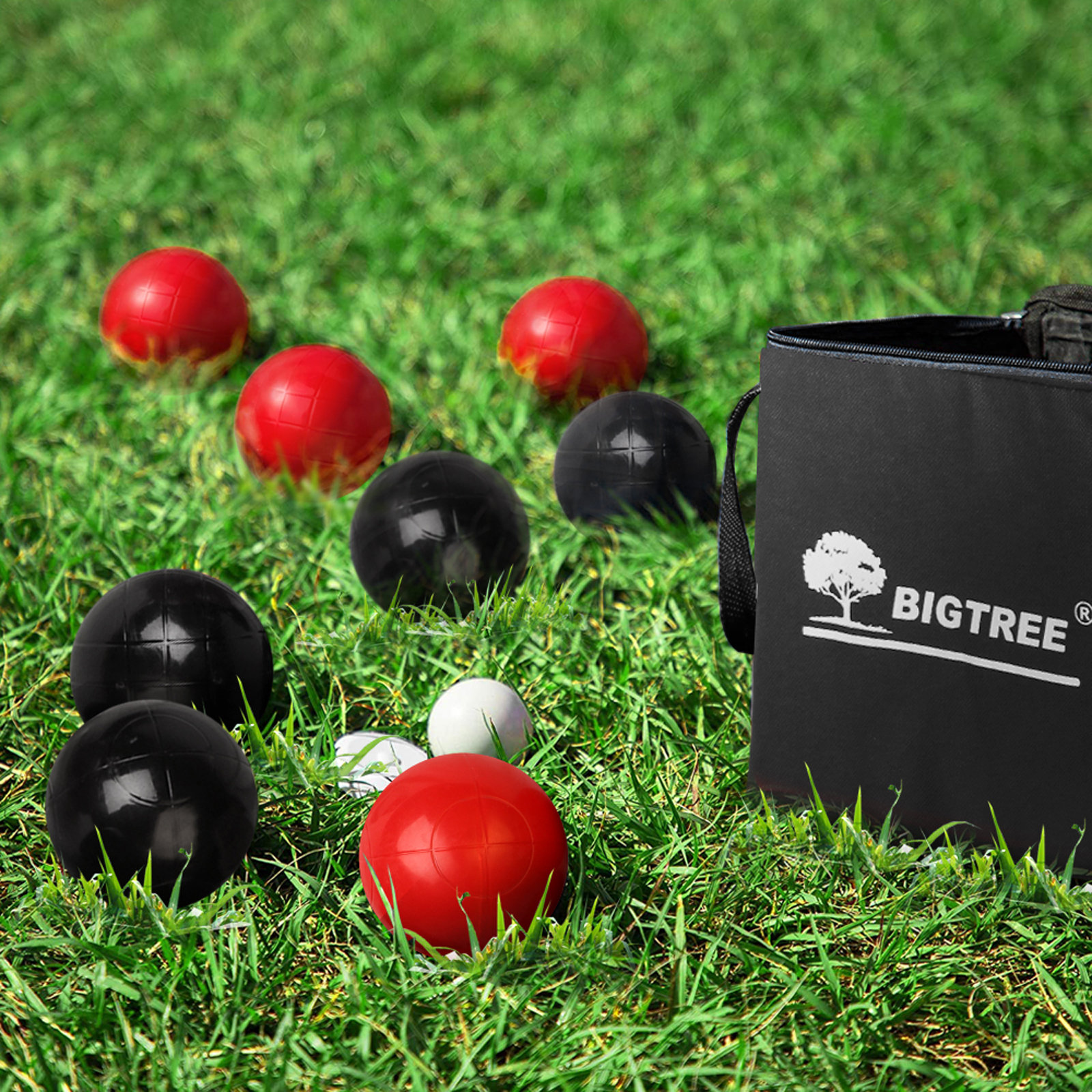 BIGTREE Bocce Ball Set with 8 Balls & Reviews - Wayfair Canada