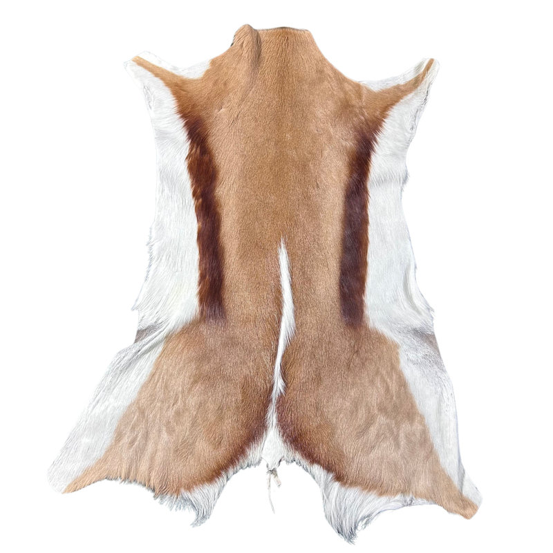 Loon Peak® Natural Springbok Skin | Wayfair