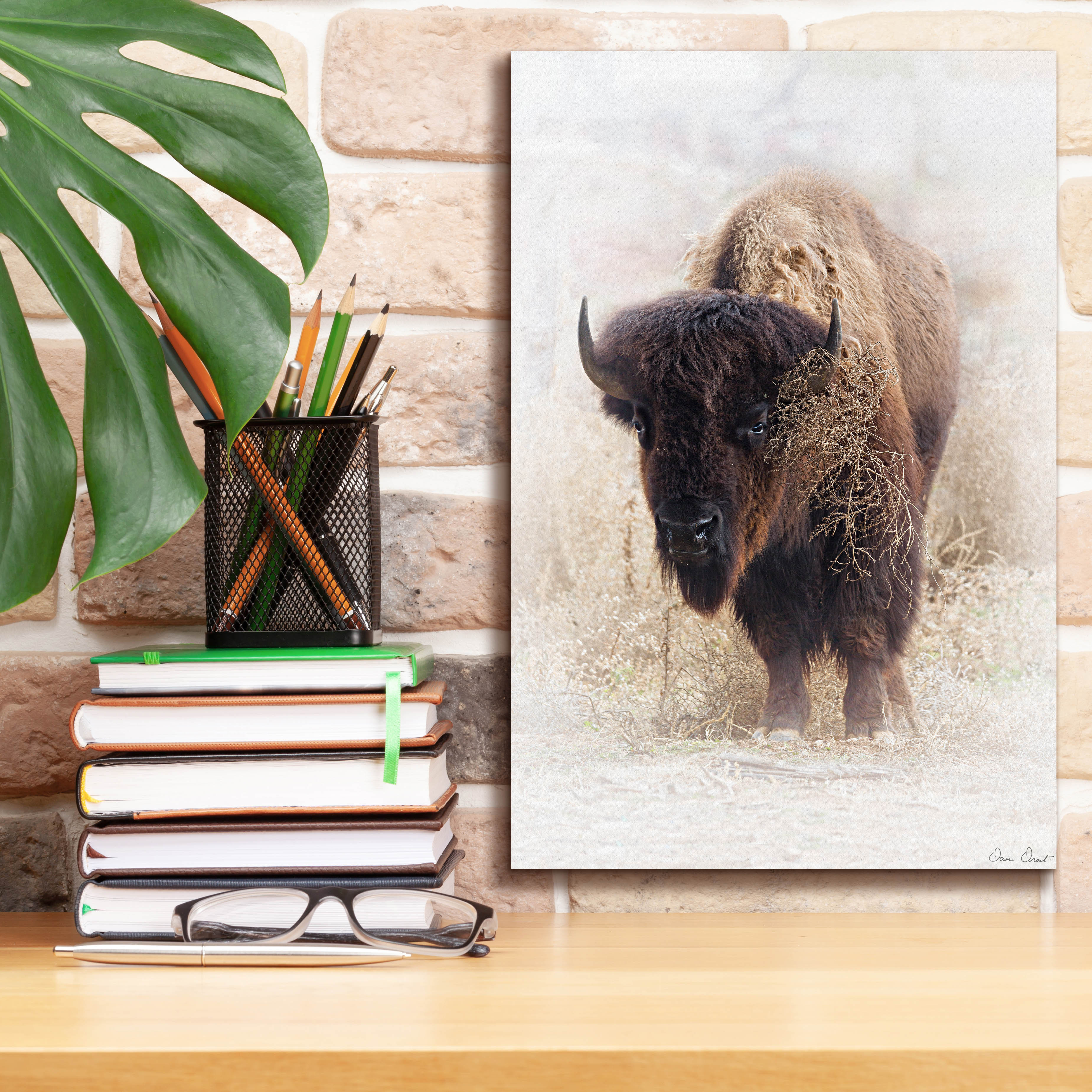 Millwood Pines 'Standing Buffalo 2' by David Drost Canvas Wall Art ...
