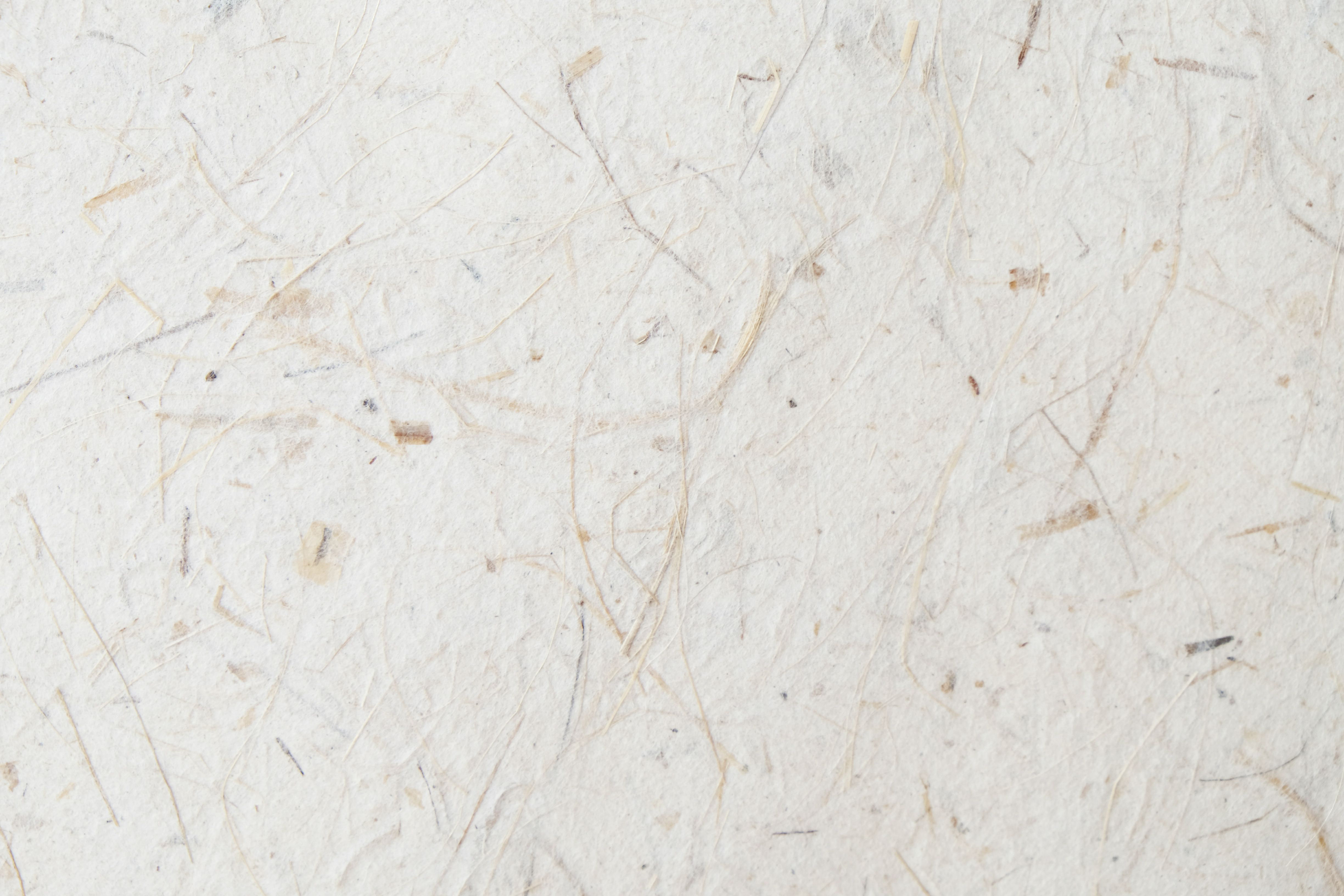 Wrought Studio™ Mulberry Paper Texture | Wayfair