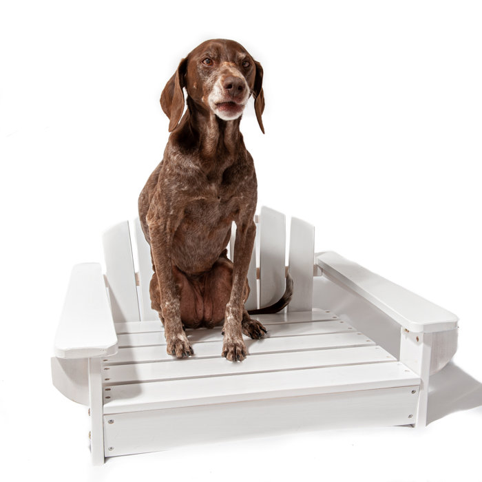 Tucker Murphy Pet™ Dog White Adirondack Chair Bed (Large) & Reviews ...