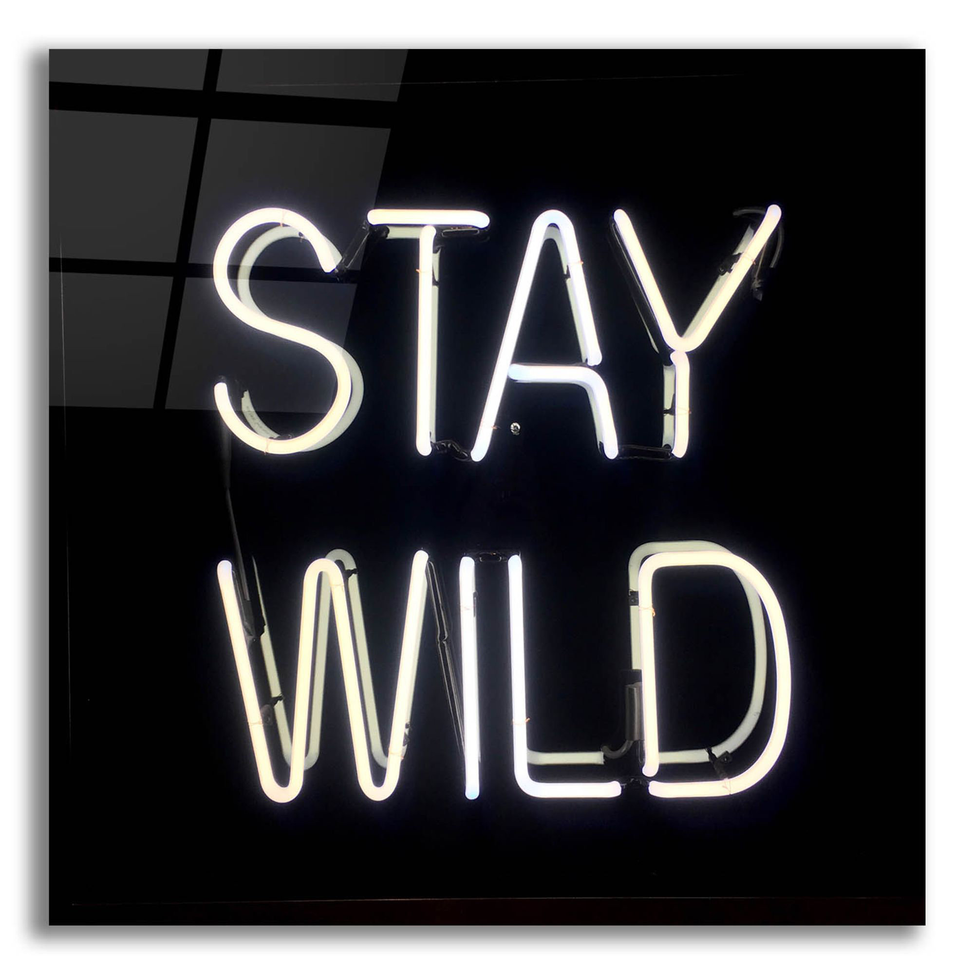 Ebern Designs Stay Wild In Neon White by Epic Portfolio | Wayfair