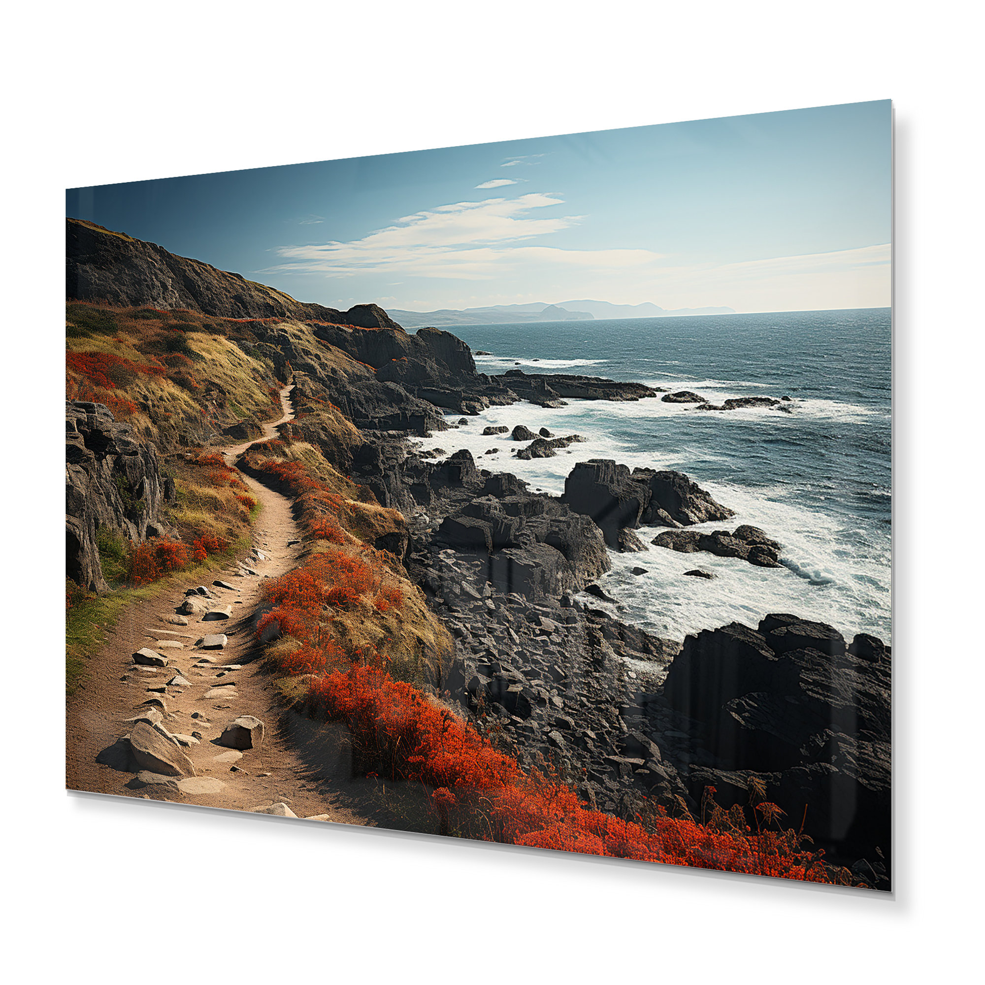 Rosecliff Heights Coastal Path I - Landscapes Print on Metal | Wayfair