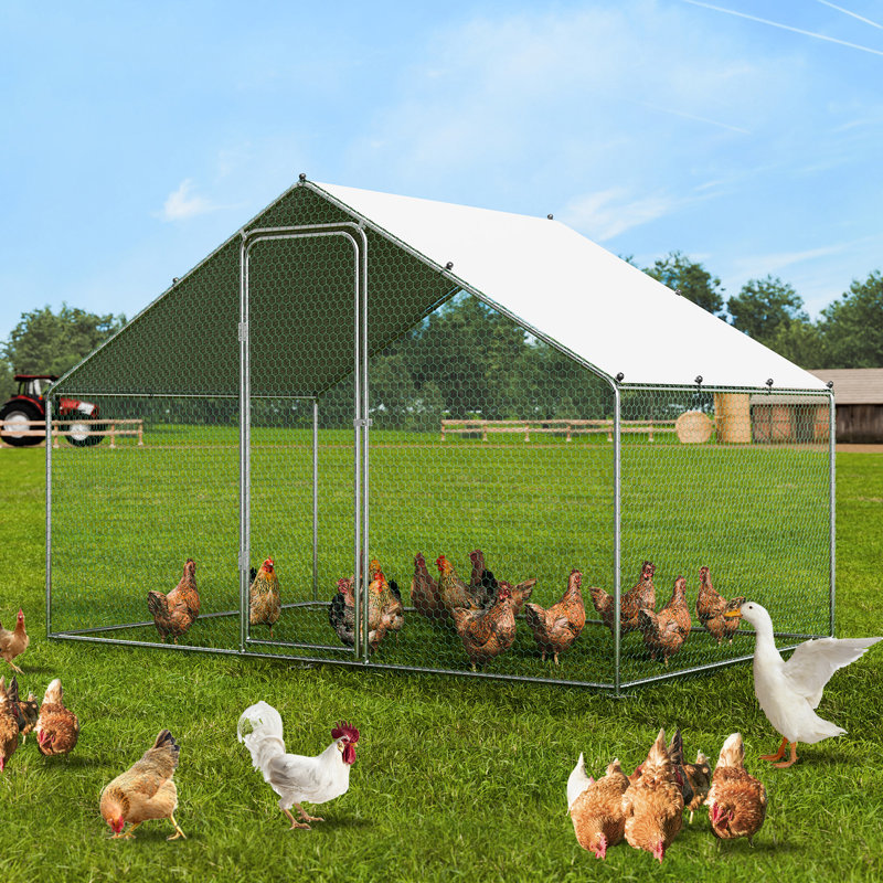 VEVOR 61 Square Feet Chicken Coop with Chicken Run | Wayfair