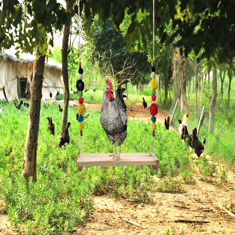 Gracie Oaks Chicken Swing Chicken Perch Wooden Chicken Rack Handmade ...