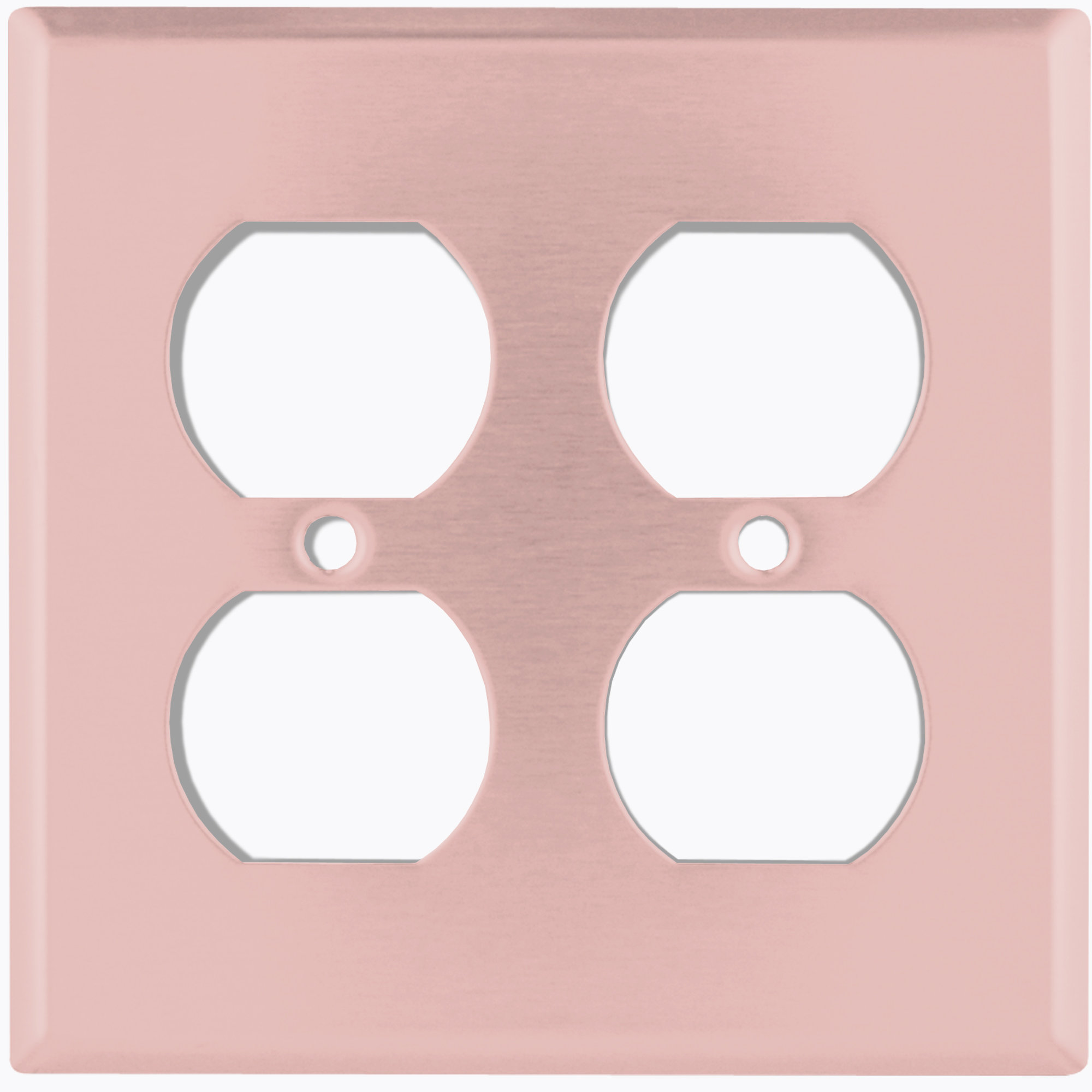 WorldAcc Metal 2-Gang Duplex Outlet Wall Plate | Wayfair