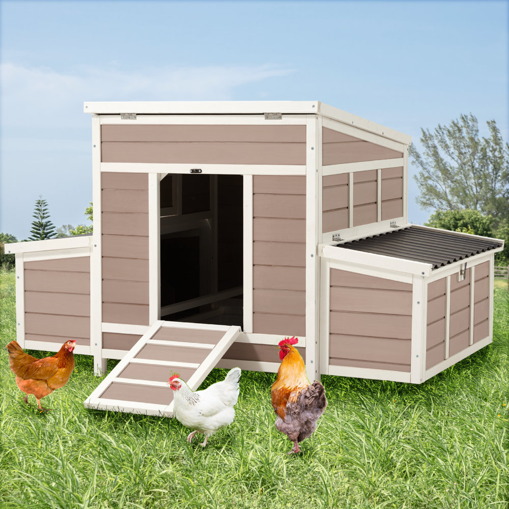 Tucker Murphy Pet™ Chicken Coop, 56" Large Wooden Chicken Hutch With 6 ...