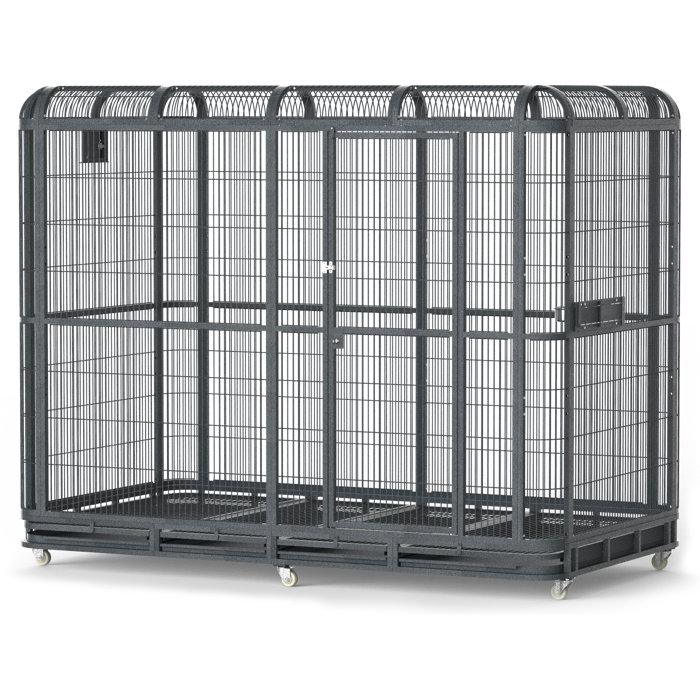 A&E Cage Co. Walk-In Aviary Base for 110”x62” Aviary- Base Only & Does ...