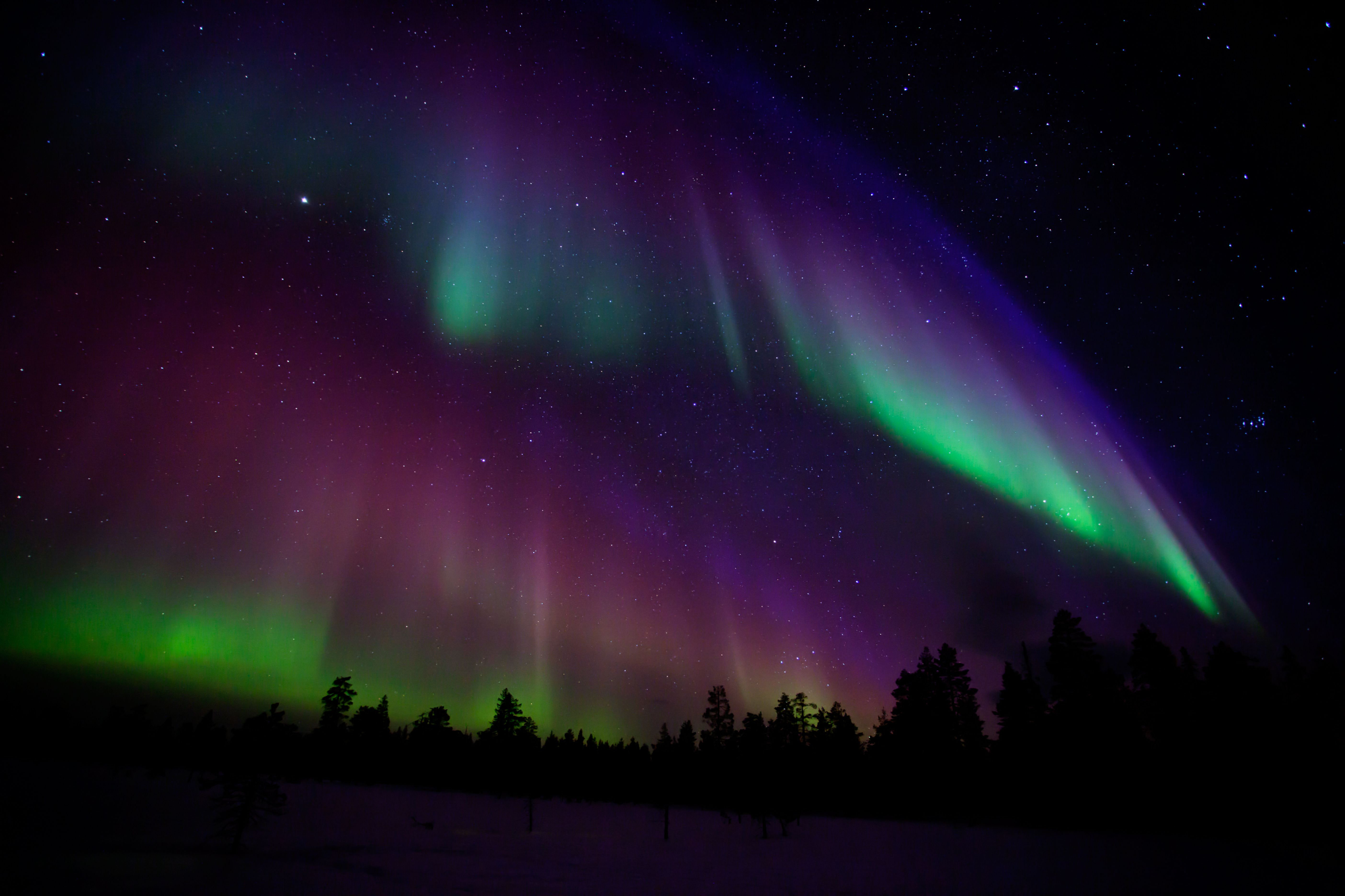 Ebern Designs Durward Northern Lights - Wrapped Canvas Photograph | Wayfair