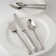Fortessa Doria 5 Piece 18/10 Stainless Steel Flatware Set, Service for ...