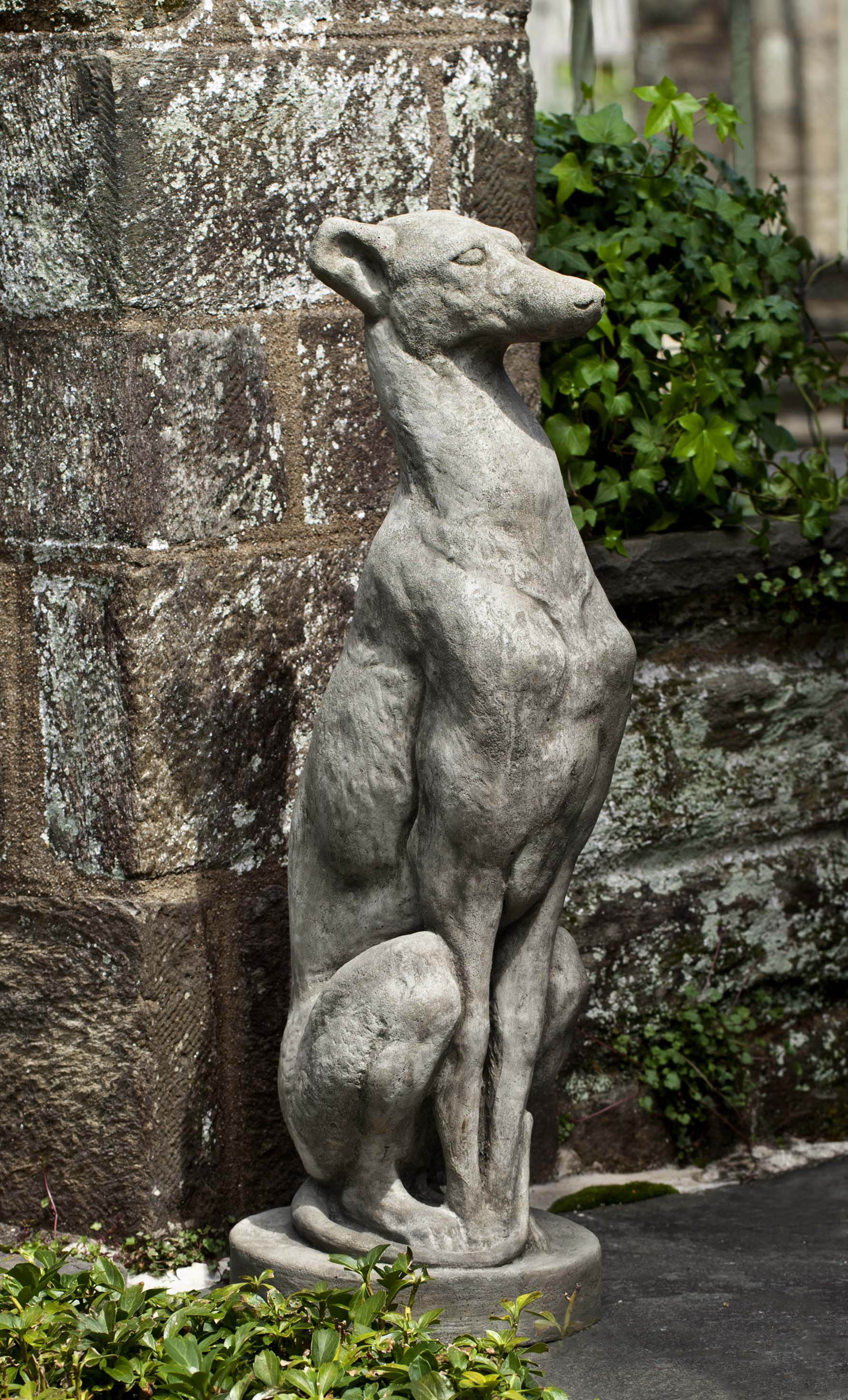 Campania International Antique Greyhound Statue & Reviews | Perigold